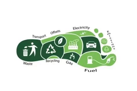 What Is Carbon Footprint Jinsun Carbon