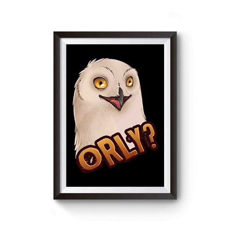 O Rly Owl 