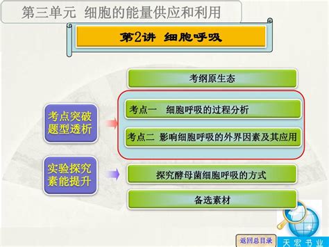【高考领航】2016届高三生物大一轮复习课件 第三单元 第2讲 细胞呼吸 Word文档在线阅读与下载 无忧文档