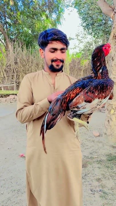 Hahaha 🤣ی مرا ڑرگری ھhahahaha 🤣🤣💋 Youtube