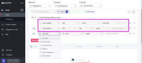 How To Use Data Segmentation In Saas To Boost Conversions