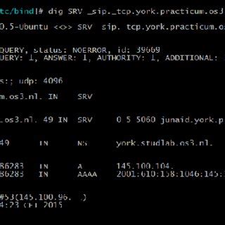 Example Of A The SRV Record Implemented Download Scientific Diagram