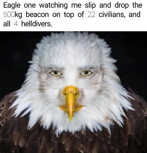 Positive Eagles Memes