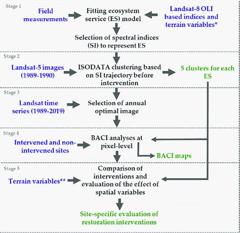 Workflow Diagram The Methodological Steps Are Referred To As Stages Download Scientific