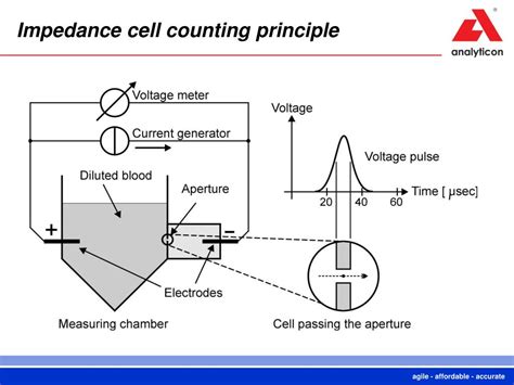 Ppt Hematology Cellcounting Basics Powerpoint Presentation Free Download Id3424561