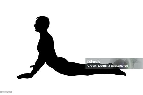 요가 코브라 포즈 또는 부잔가사나 요가 포즈를 강화하는 남자 실루엣 벡터 일러스트 레이 션 가냘픈에 대한 스톡 벡터 아트 및 기타 이미지 Istock