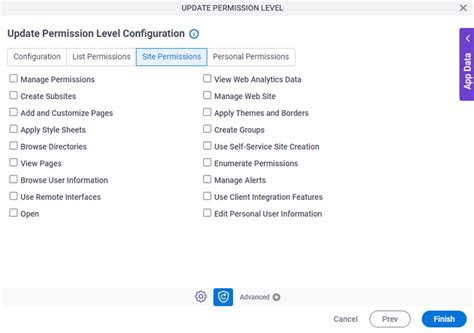 Update Permission Level Activity