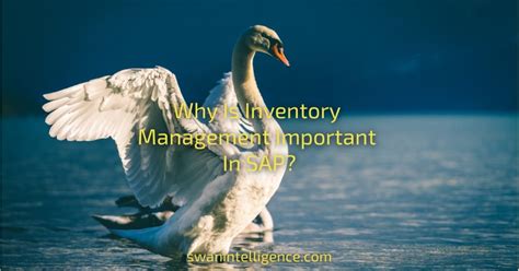 Why Is Inventory Management Important In SAP Swan Intelligence