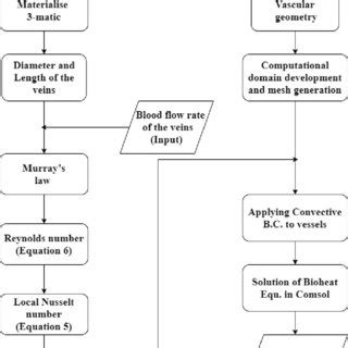 The Step By Step Flowchart Of The Modeling Procedure Download Scientific Diagram