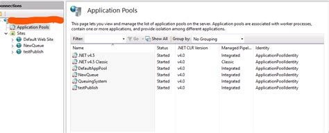 Iis Hosted Net Core Application Showing 5000