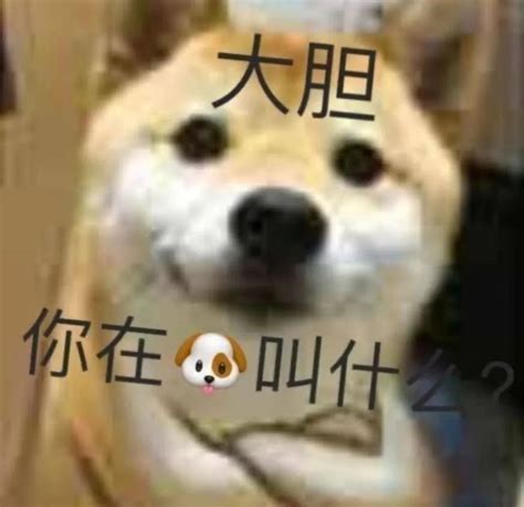 表情包 狗听了都头大