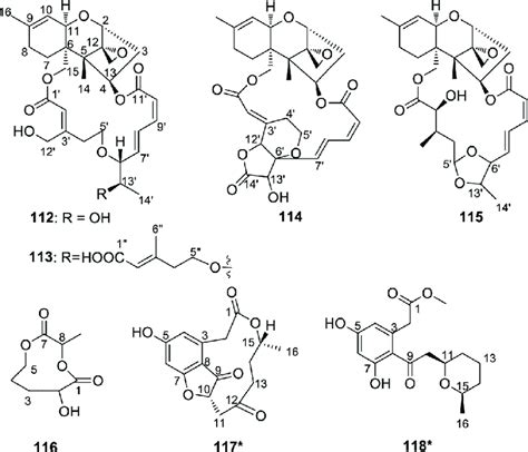 18 Structures Of Macrolides 112 118 Download Scientific Diagram
