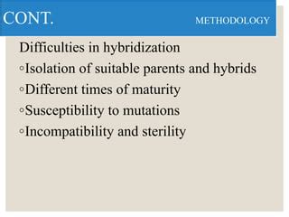 Hybridization Shankar Tripathi PPTX