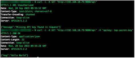 Apache Apisix In The Wild Exploitations An Api Gateway Security Study