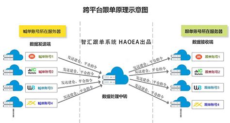 Api跟单软件对比传统ea跟单优势 知乎
