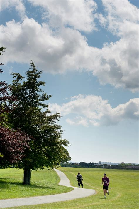 집 밖의 가로등 기둥 가로수가 늘어선 거리 걷고 있는 사람 겨울 겨울 단풍 겨울 시즌 겨울에 나무 경치 고전 건축 공공 공원 공원 벤치 길 나무