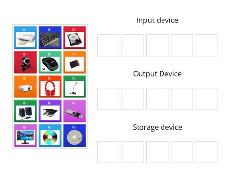 Differentiate Input Output And Storage Devices Group Sort