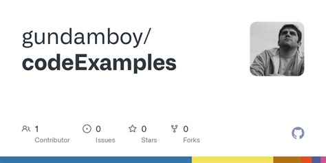 Github Gundamboy Codeexamples