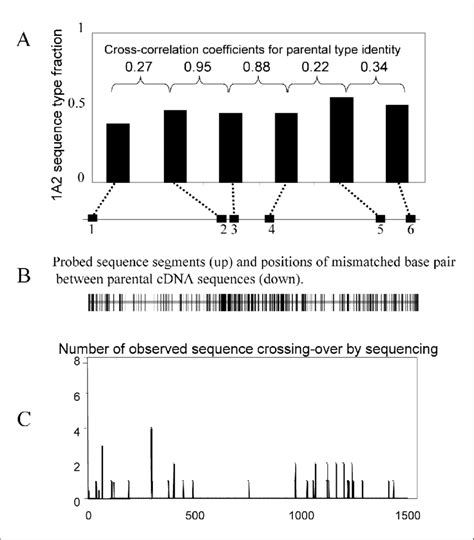 Correlation Between Microarrays And Sequencing Results For The Download Scientific Diagram