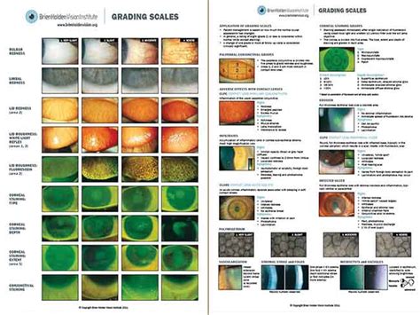 Cclru Grading Scales Pdf