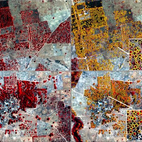 Example Components Of The Landscape From Vhr Data Left And Processed