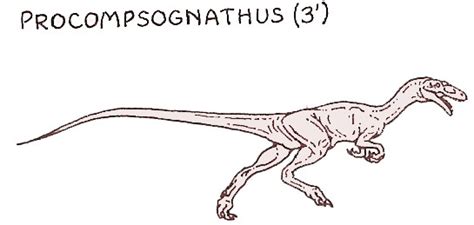 Procompsognathus By PonchoFirewalker01 On DeviantArt