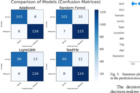 Figure 1 From Explainable Classification For Non Small Cell Lung Cancer Based On Positron