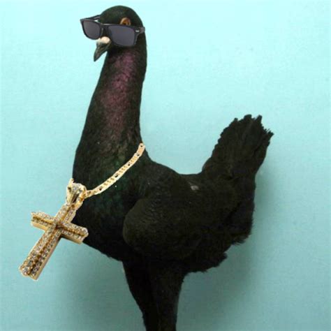 Onorio Catenacci Medium