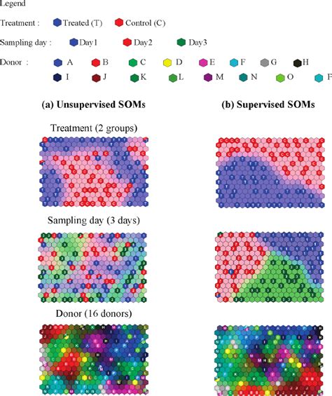 Unsupervised Soms Left And Supervised Soms Right Of The Three