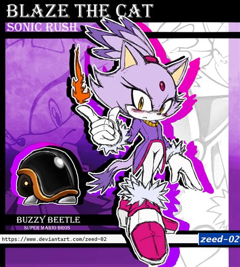 Blaze The Cat Sonic And Buzzy Beetle Mario By Zeed 02 On Deviantart
