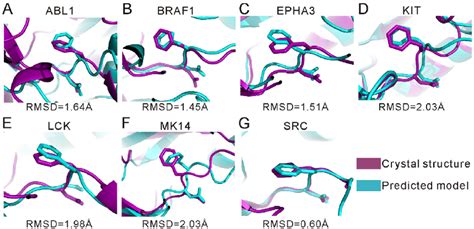 superposition of dfg motifs in the dfg out models with respect to those