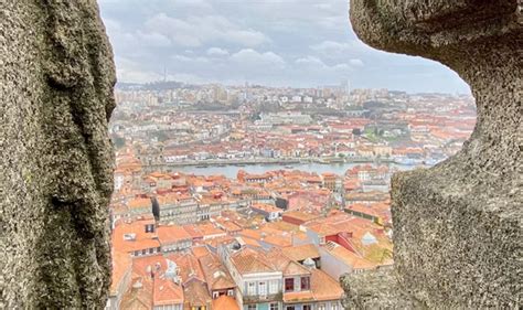 포르투 클레리구스 성당 And 종탑 티켓