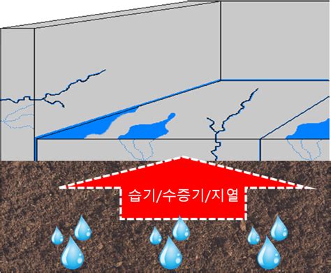 반지하 곰팡이 반지하방 벽지 곰팡이 원인은 반지하 반지하방 방바닥 습기 방바닥 결로 방바닥 곰팡이 발생 원인과 해결방안에 관하여 네이버 블로그