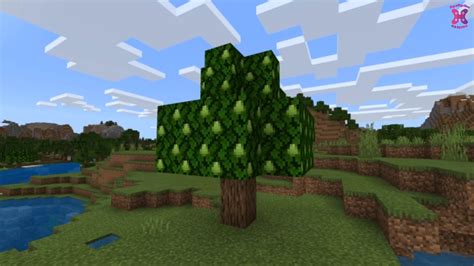 More Simple Structures MCPE Bedrock Mod Mc Mod Net