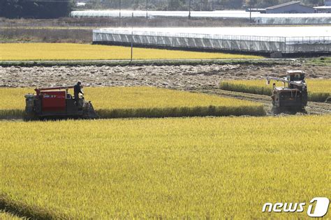 세계 식료품 가격 11년 만에 최고치이상기후·유가상승 탓 뉴스1