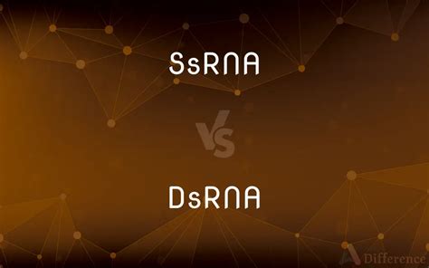 Ssrna Vs Dsrna — Whats The Difference