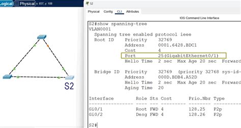 STP Spanning Tree Protocol Explained With Examples
