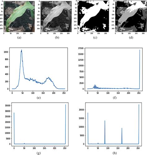 Effect Of Image Region‐based Segmentation A Original Image B Download Scientific Diagram