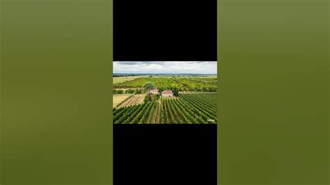 იყიდება შერეული ხეხილის ბაღი კარდენახში ვენახით 24 ჰა 🍇🍑🫐🍐🍏🍎 🍐🍓🫒🥜 Youtube