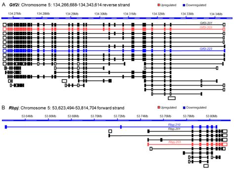 Importance Of Transcript Variants In Transcriptome Analyses Pmc