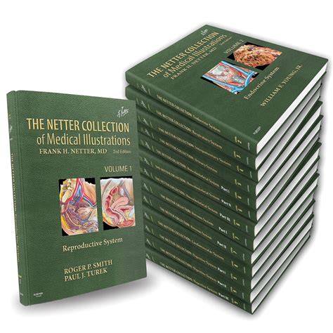 The Netter Collection Of Medical Illustrations Complete Package Netter