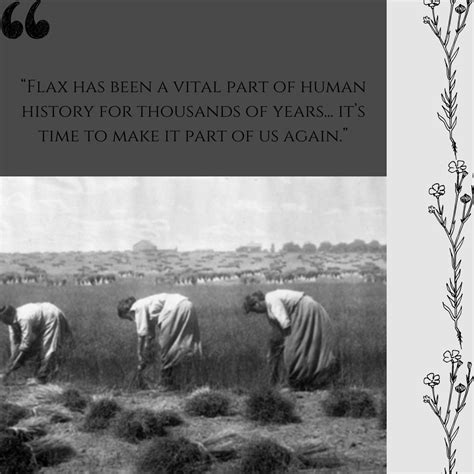 Uncovering The Motivation Behind My Flax Habit A Dig Into The History