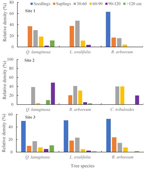 Population Structure Of Entire Forest And Dominant Species In Rianj Oak Download Scientific