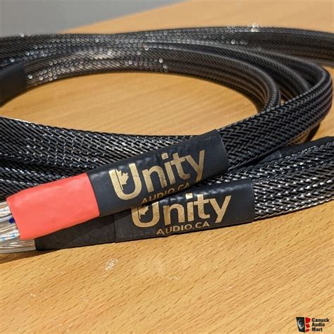 Unity Audio Silver Link Speaker Cables Photo 4206759 Canuck Audio Mart