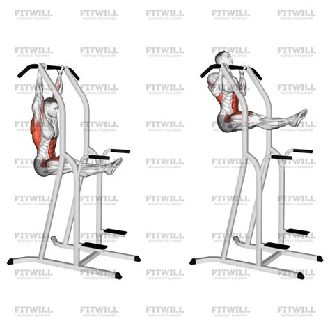 L Pull Up Exercise Guide Video Techniques Benefits How To Muscles