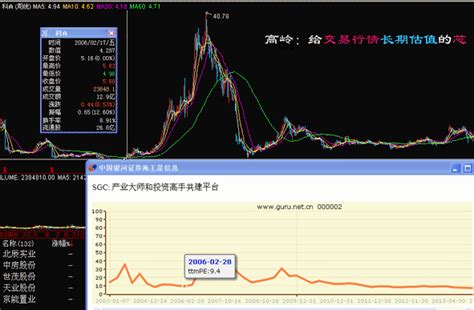 市盈率动态和静态区别静态市盈率 随意云