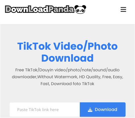 2023 Best Way To Download Tiktok Video Photo Online Free