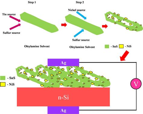 Synthesis Of Snsnis Hallow Nanostructures For Fabrication Of Visible Download Scientific