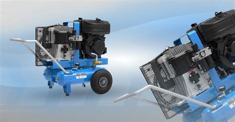 Compressor For Harvesting Olives Which One Can You Choose