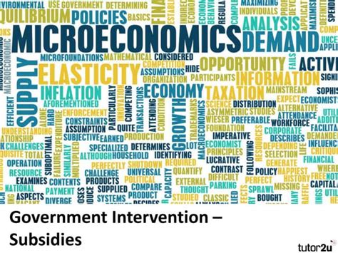 Subsidies Notes A Level And Ib Economics Pdf